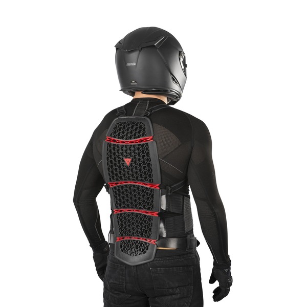 MotoMundi - Protectores de Espalda Dainese Pro-Armor Back